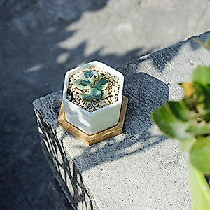 OAMCEG 6 Pack Succulent Plant Pots 2.75 inch Mini Succulent Planter, Set of 6 White Ceramic Succulent Cactus Planter Pots with Bamboo Tray (Plants NOT Included)