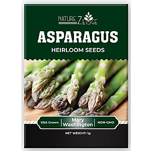 Asparagus Seeds for Planting, 50 Mary Washington Garden Vegetable Seeds, Heirloom Variety, Open Pollinated, Non-GMO