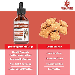Joint Support Supplement for Dogs | Dog Hip and Joint Supplement | Supports Healthy Hips, Joints, & Much More | Dog Joint Supplement | Joint Supplement for Dogs | Joint Support for Dogs | 1 fl oz