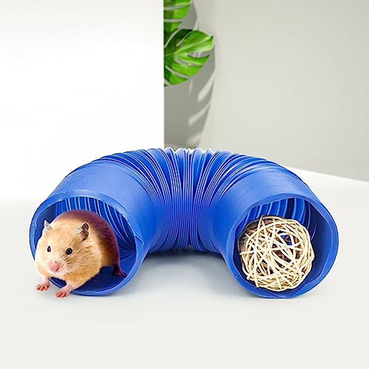 Small Animal Tunnel,1 Collapsible Plastic Guinea Pigs Tube Tunnel&5 Grass Cake&1 Grass Balls&2 Grinding Stones,Fun Toys for Hiding Training Ferrets,Gerbils,Hamsters,Dwarf Rabbits (Small, Blue)
