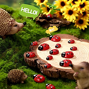 100 Pieces Tiny Resin Ladybugs Decor 0.55''-0.98'' 3 Size Plastic Ladybugs Shaped Embellishments Craft Ornaments Charms for Party Wreath Home Decoration