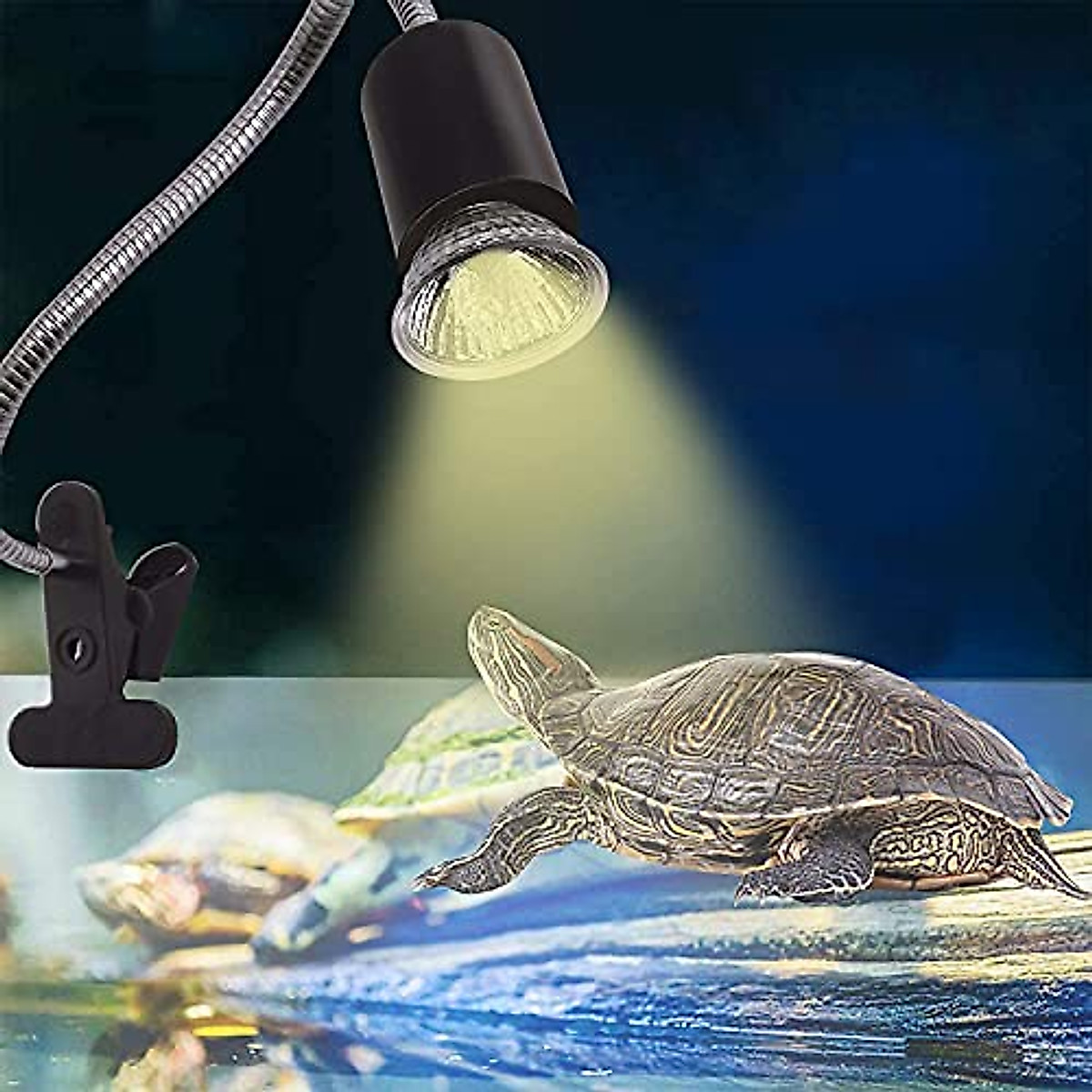 Fansisco Reptile Heat Lamp Turtle Lights with Clip, 3 UVA UVB Bulbs (50W) Aquarium Basking Lamp Adjustable Holder, Pet Heating Light Lamp for Reptile Snake Turtle Lizard