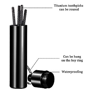 Portable Titanium Toothpicks Pocket Set Reusable Metal Stainless Steel Toothpicks with Holder for Outdoor Picnic and Camping (Black,2 Sets)