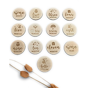 Funny Baby Monthly Milestone Announcement Cards | 13 Round Wooden Double Sided Signs | Gender Neutral Gifts | Baby Shower | Fun Photo Props | Baby Registry | Pregnancy Gift | Baby Photo Props