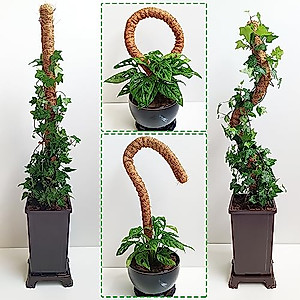 2 Pack Moss Pole, 28 Inch Bendable Moss Pole for Plants Monstera, Moss Poles for Climbing Plants Indoor, Coir Plant Pole Sticks Support Stakes for Potted Plants, Pothos, Philodendron
