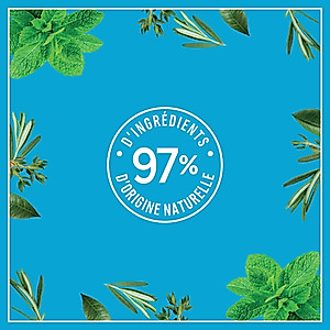 Le Petit Marseillais SHAMPOO ANTI DANDRUFF MINT ESSENTIAL OIL