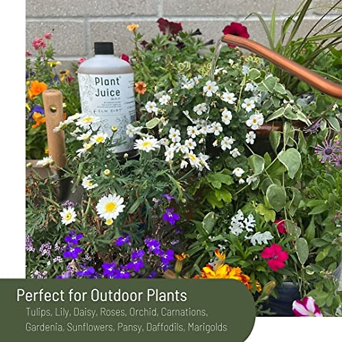 Elm Dirt Plant Juice Organic Fertilizer for All Plants - Indoor or Outdoor (3 Bottle)