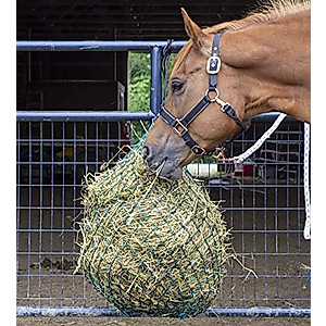 Derby Originals 48" Eager Feeder Slow Feed Hay Net