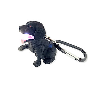Big Discoveries WildLight Animal Carabiner Flashlight - Fun Mini Keychain Flash Lights for Kids, Nurses, Camping