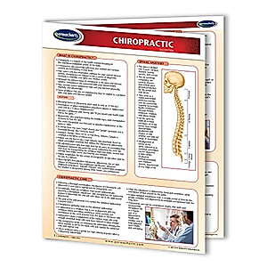 Chiropractic Medicine Guides - 4 Chart Bundle - Medical Quick Reference Guides by Permacharts