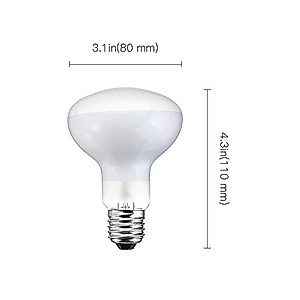 MD Lighting MaoTopCom 100W Basking Spot Heat Lamp Bulbs(2 Pack), 110V Reptile Mercury Vapor Bulbs Soft White Poly Sand Light Dome Bulb for Reptile and Amphibian Use, as Tortoise Lizard