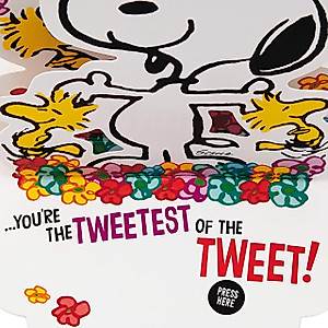 Hallmark Birthday Pop Up Card with Song from Son or Daughter (Peanuts Snoopy and Woodstock Pop Up, Plays Linus and Lucy by Vince Guaraldi)