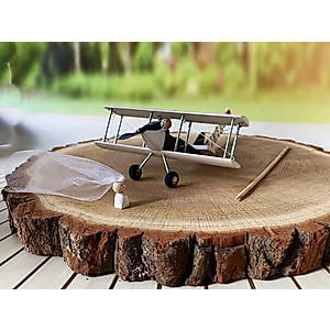 Airplane Wedding Cake Topper with Custom banner Mr. & Mrs. Cute unique honeymoon figurines at the helm of the plane