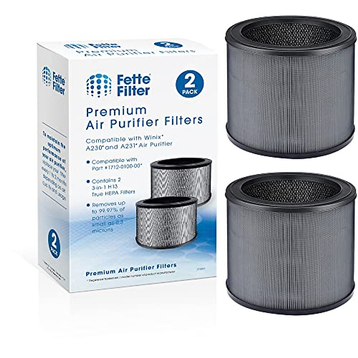 Fette Filter - 2 Premium True Hepa H13 Replacement Filter Size O Compatible with Winix Air Purifier Model A230 A231 Compare to Part # 1712-0110-00, 1712011000