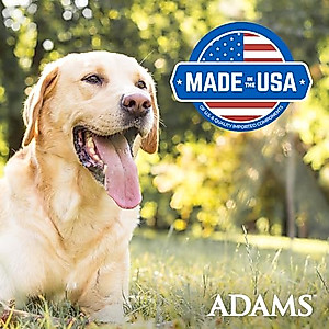 Adams Flea & Tick Collar Plus for Dogs & Puppies |2 Pack |12-Month Protection |One Size Fits All Dogs & Puppies 12 Weeks and Older |Kills Fleas and Ticks |Repels Mosquitoes (excluding California)