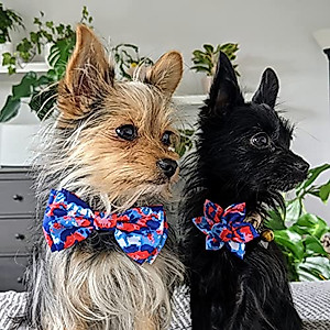 H&K Pet Pinwheel | American Tie Dye (Small) | 4th of July Velcro Collar Accessory for Dogs/Cats | Fun Pet Pinwheel Collar Attachment | Cute, Comfortable Pet Accessory