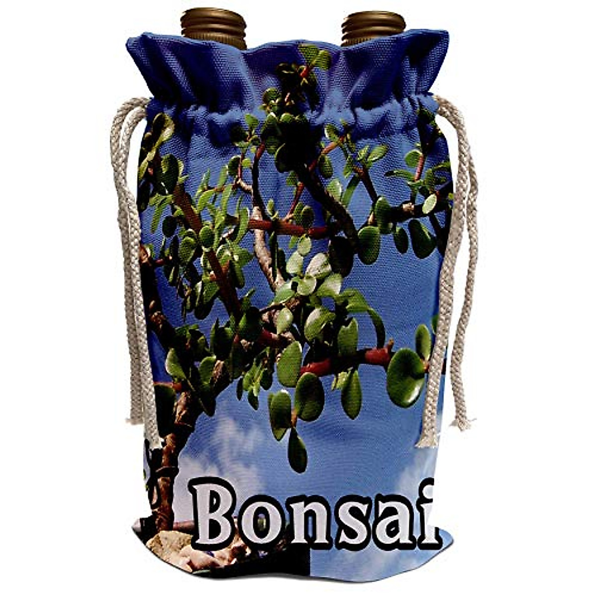 3dRose Susans Zoo Crew Bonsai - Bonsai w text photograph portulacaria afra tree 1 - Wine Bag (wbg_182078_1)