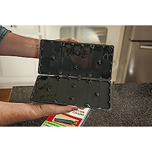 Tomcat Rat Size Glue Traps, 2-Pack (Original Formula)