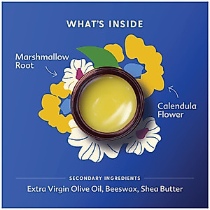 Motherlove Nipple Cream (1 oz) Organic Lanolin-Free Nipple Cream for Breastfeeding—Benefits Nursing & Pumping Moms