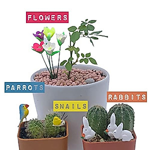 Ray 1979 Miniature Dollhouse Fairy Garden Accessories 5 pcs Set for DIY Decorations, Mini Figurines for Mini Garden, Terrarium, Bonsai, Cactus, Moss Landscape (Flower 5 Pcs)