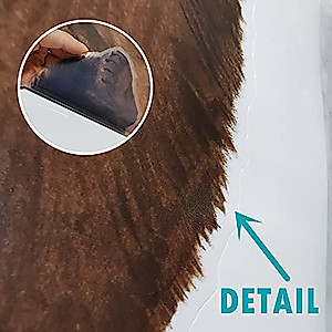 ROFARSO Lifelike Cute Lovely Hello Bear Animal Wall Stickers Removable Wall Decals Peel and Stick Wall Art Decorations Home Decor for Nursery Kid Baby Bedroom Living Room Playing Room Murals