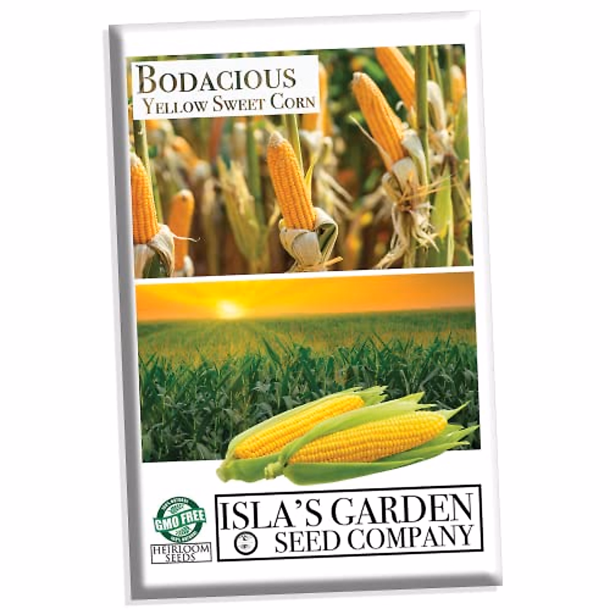 Bodacious RM Sweet Yellow Corn Seeds for Planting, 50+ Seeds Per Packet, (Isla's Garden Seeds), Non GMO Seeds, 90% Germination Rates, Scientific Name: Zea Mays, Great Home Garden Gift