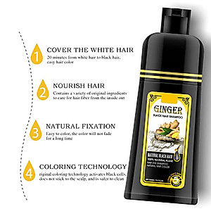500ml Ginger Black Hair Shampoo, Ginger Shampoo Fast Black Hair Hair Color Dye Nourishing Shampoo, 2-in-1 Semi Permanent Shampoo Last 30 days,5 Minutes Finsh