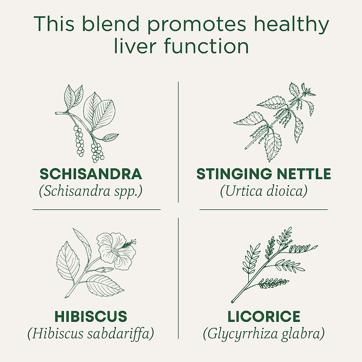 Traditional Medicinals Tea, Organic EveryDay Detox Schisandra Berry, Supports Healthy Liver Function, Detox, 96 Tea Bags (6 Pack)