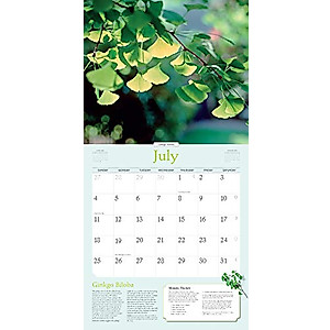 Rosemary Gladstar's Herbs Wall Calendar 2021