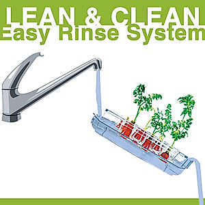 Indoor Gardening System/Small/No Electricity Needed/All Year Round/Hydroponic Growing The Easy Way/Propagate-Regrow in Your Kitchen/I Re Grow