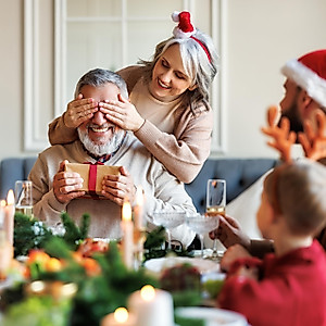 Wine Chiller Electric,Cobalance Wine Chillers Bucket for 750ml Red & White Wine or Some Champagne,Single Bottle Wine Cooler on Patio,Portable Iceless Chiller for Poolside Party,Gift Set for Wine Lover