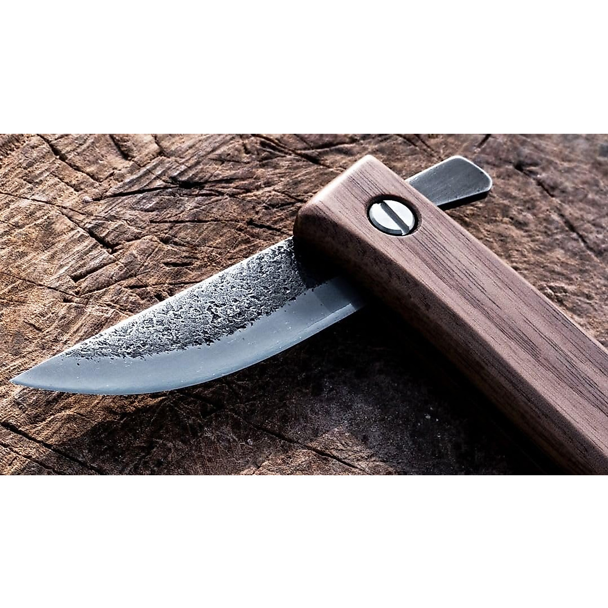 KAKURI Japanese Folding Knife 2.3", Made in JAPAN, Small Pocket Knife for Camping, Bushcraft, Outdoor, Gardening, Hand Forged Japanese White Steel No.2 Blade, Double Bevel Edge, Walnut Handle, Brown