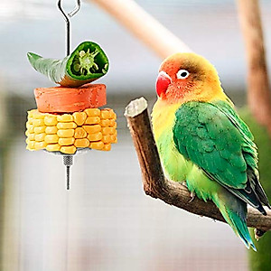 2 Pack Bird Feeder Birds Bowls Stainless Steel Dishes Coop Cups with Wire Hook, Parrot Feeding Dish Cups Food Water Bowls with Bird Food Holder and Rattan Ball for Finches Lovebirds (Set 1)