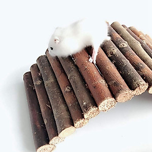 PINVNBY PIVBY Wooden Hamster Bridge,Rat Chew Toys for Chinchillas Guinea Pigs Hamster Mouse Rat, Rodents Ladder Toy for Small Animal (2Pack)