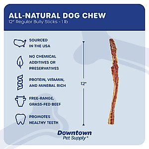 Downtown Pet Supply 12-inch Bully Sticks for Dogs, 1 LB - USA Sourced, No Hide Dog Chews Long Lasting and Non-Splintering - Nutrient-Rich, Single Ingredient and Odor Free Bully Sticks for Dogs