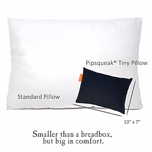 Urban Infant Pipsqueak Small Pillow - Mini 11 x 7 in - Tiny Pillow for Travel, Dogs, Toddlers, Kids, Lumbar, Knees and Neck - Ages 2 Yrs and Up
