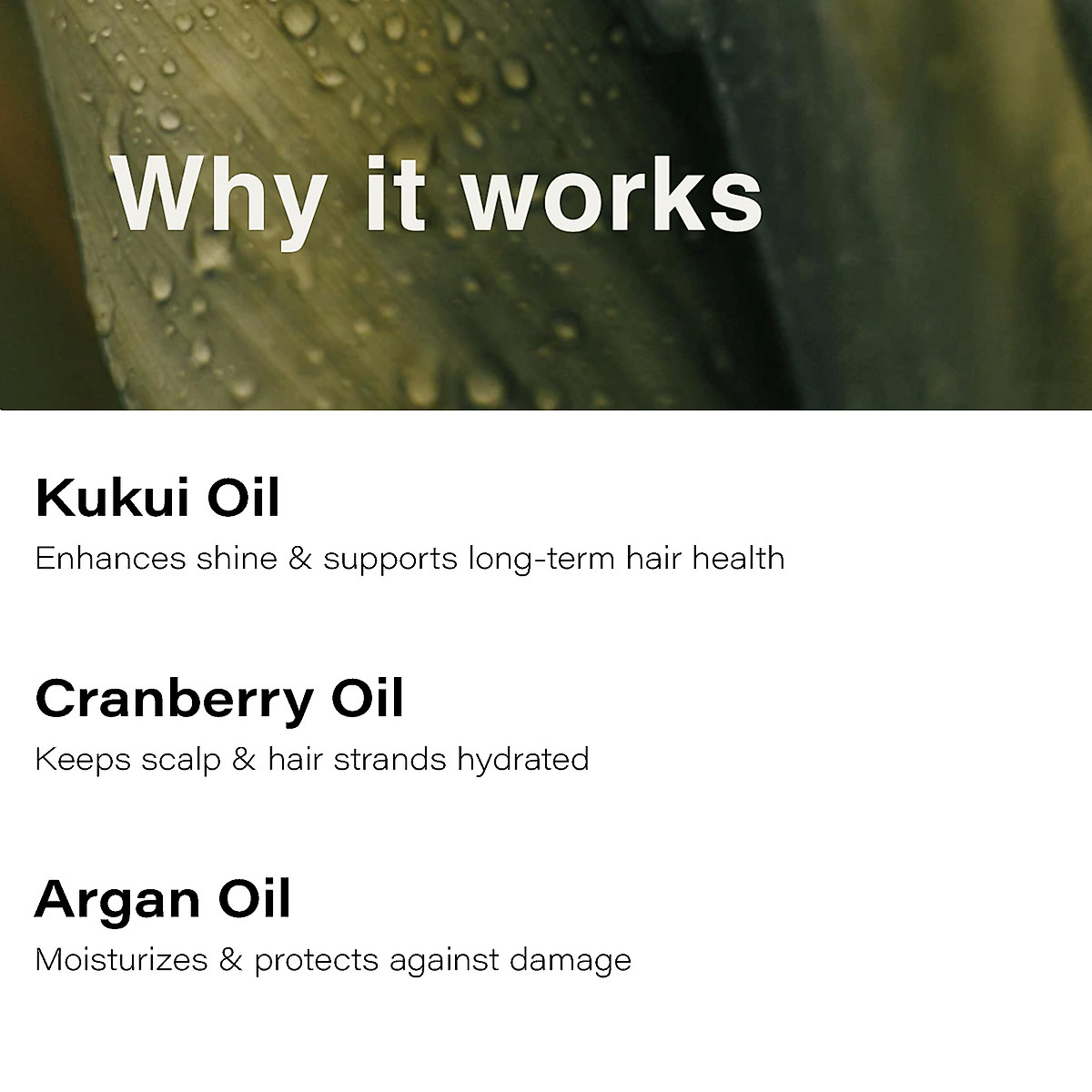 Eufora Beautifying Serum for Hair Skin and Scalp, 4.2 Ounce