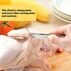 ANXVERS Fish Scaler Remover, 1 Pieces Kitchen Tweezers Stainless Steel Big and Small Tool, Precise Filet knifes for Fish Grip, Salmon Fillet Sushi knife,Tweezers Chicken Plucker -4inch