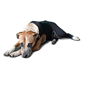 BENEFAB Therapeutic Comfort Suit for Dogs — Lightweight Far-Infrared Jacket for Canines of All Ages — Relaxing FIR Compression Suit Soothes Muscles, Joints, and Pain (Large)