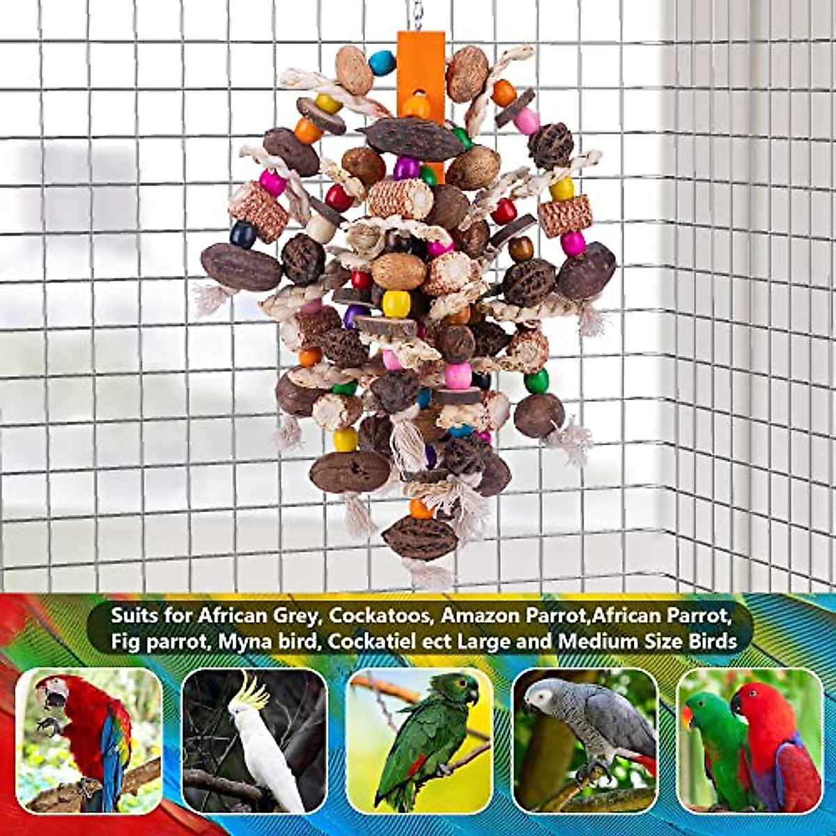 Deloky Large Parrot Bird Chewing Toys-Natural Nuts Corn Parrot Tearing Toy-Wooden Bird Cage Toy for African Grey,Macaws Cokatoos,Amazon Parrots and Other Large Birds