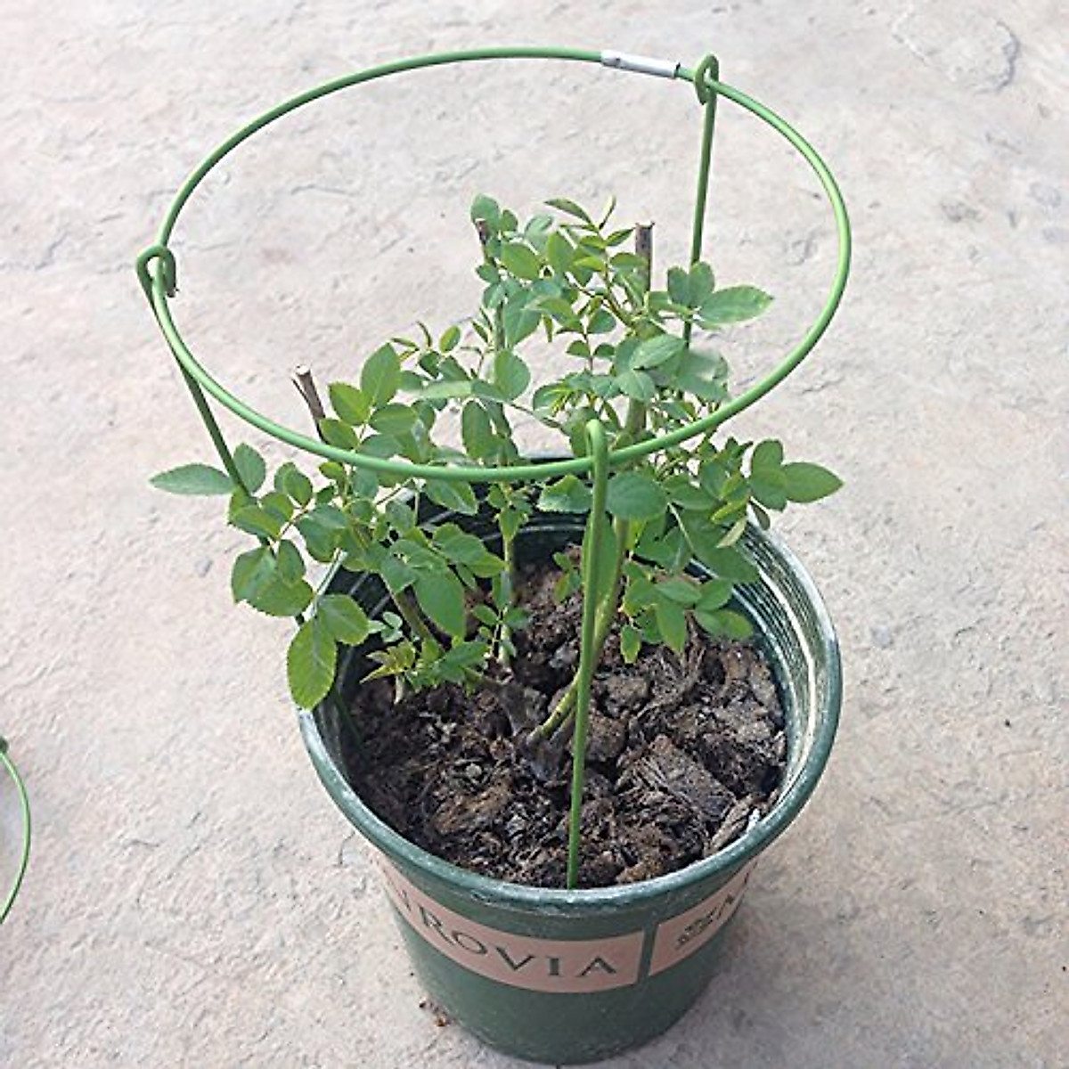 rescozy (Pack of 3) Large Garden Plant Support Rings, 10" Wide x 17" High, 3 Legs