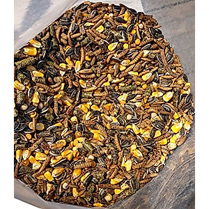 Chicken Feed Treat 10 lbs | USA Produced Grubs (Black Fly Larvae) & Organic Whole Grains