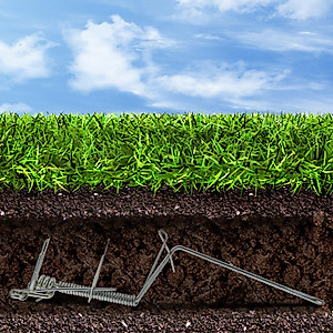 Qualirey 12 Pcs Mole Trap Pocket Mole Traps for Trapping Kill Mole Animal Ground, 9.84 x 2.95 x 2.76 Inches