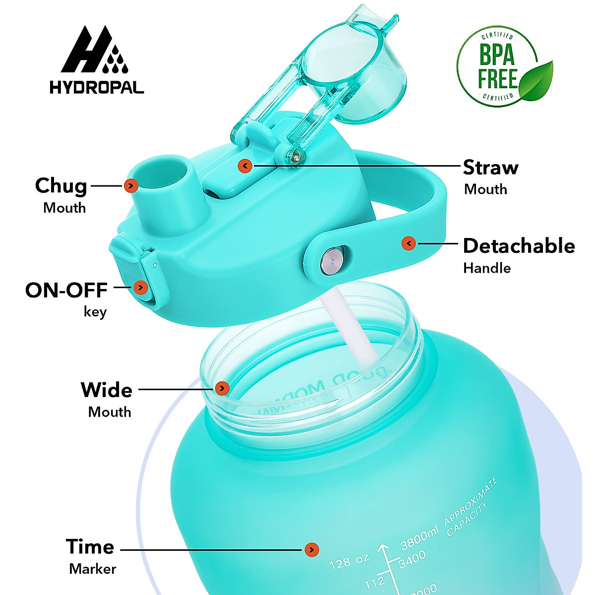 HydroPal Water Bottles with Straw, 128 oz Gallon Water Bottle Water Jug BPA Free Leak-proof Sports Bottle with Times to Drink Perfect for Fitness Gym Camping Outdoor (128OZ Fantasy Forest)