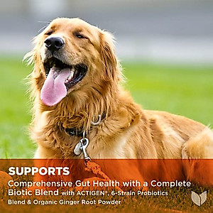 Hyland's Naturals - Probiotics for Dogs - Total Gut Health - with ACTIGEN PREBIOTIC and Organic Ginger Root, 90 Soft Chews