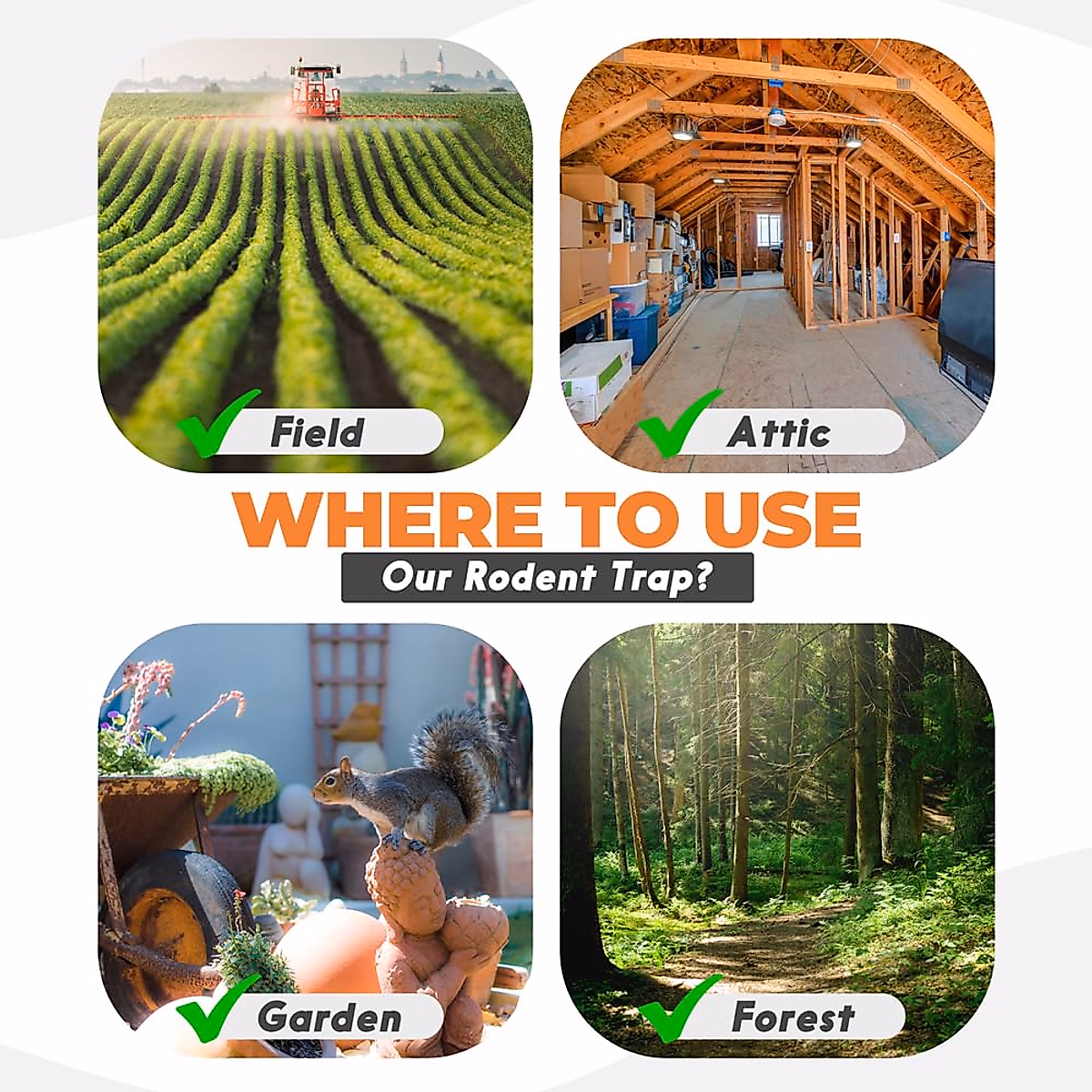 Squirrel Trap (2 Pack) - Consistent & Humane Kill Every Time with no Failures - Powerful Spring - 5" Large Opening - 96% Instant Kill - for Attic, Garden, Forest & More - Reusable - Easy Setup