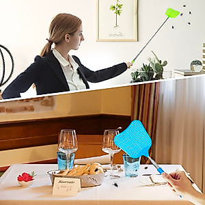 Telescopic Fly Swatter, Hiway 3 Pack Fly Swatter for Indoors Plastic Flyswatter Heavy Duty with Stainless Steel Telescopic Handle