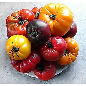 This is A Mix!!! 30+ Rainbow Deluxe Tomato Seeds Mix 16 Varieties, Heirloom Non-GMO, Indeterminate, Old German, Chocolate Stripes, Ukrainian Purple, Amish Paste USA