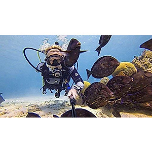 Fugetek 49" Selfie Stick Monopod Professional High End FT-568, For Apple iPhone, Android Samsung, & DLSR Cameras, Aluminum Alloy, Rechargeable Wireless Bluetooth Remote (Black)