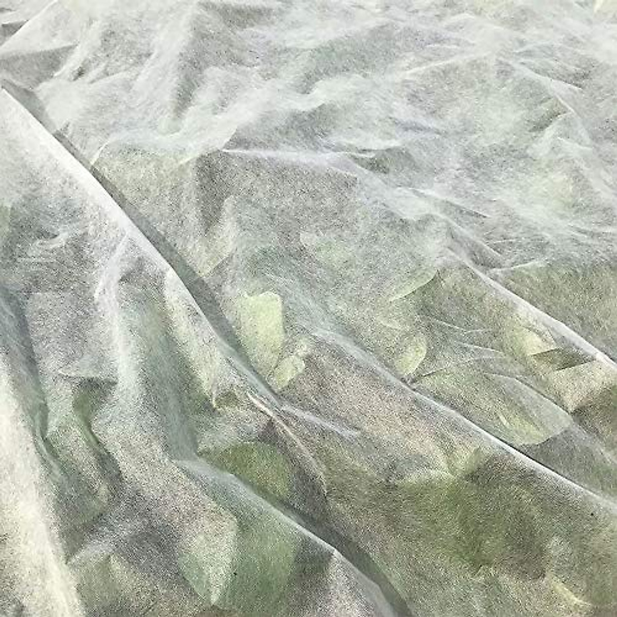 Agfabric Plant Covers Freeze Protection 10'x50' 0.55oz Frost Blankets for Plants Plant Frost Protection Covers Garden Winter Frost Pests Protection,White